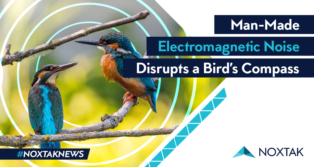 Man-Made Electromagnetic Noise Disrupts a Bird’s Compass - NOXTAK ...